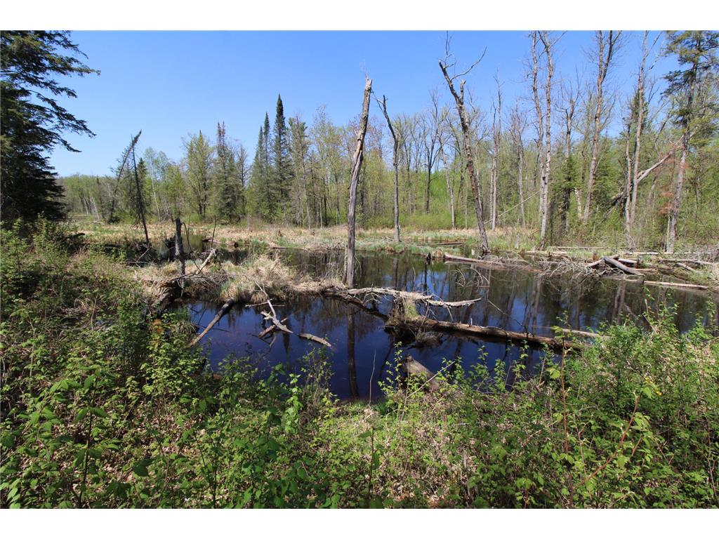 25343 Lens Road, Ross Lake Twp, MN, 56447 | MLS: 6722307 | Edina Realty