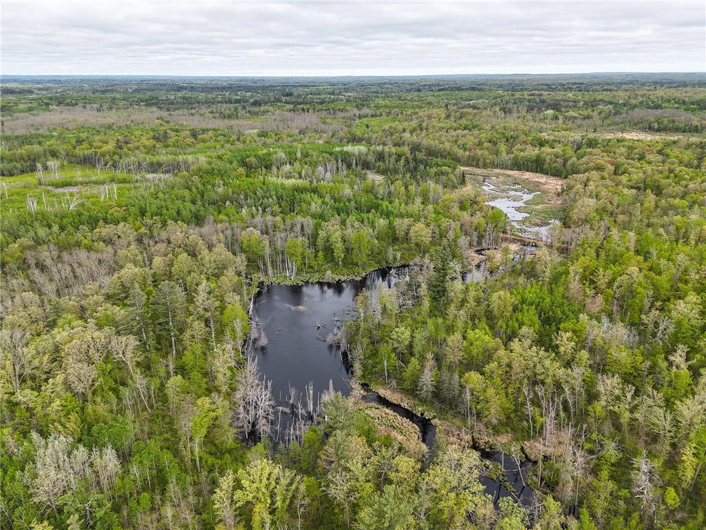25343 Lens Road, Ross Lake Twp, MN, 56447 | MLS: 6722307 | Edina Realty