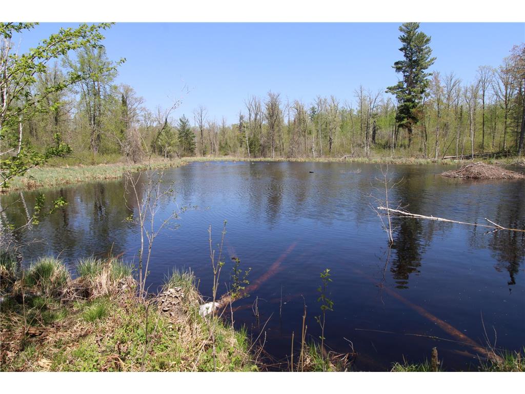 25343 Lens Road, Ross Lake Twp, MN, 56447 | MLS: 6722307 | Edina Realty