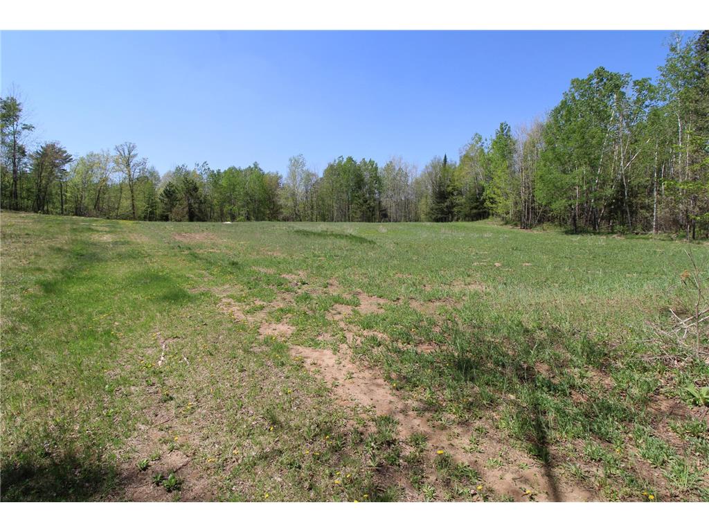 25343 Lens Road, Ross Lake Twp, MN, 56447 | MLS: 6722307 | Edina Realty