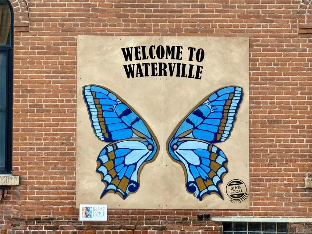 259 Main Street E, Waterville, MN, 56096 | MLS: 6756665 | Edina Realty