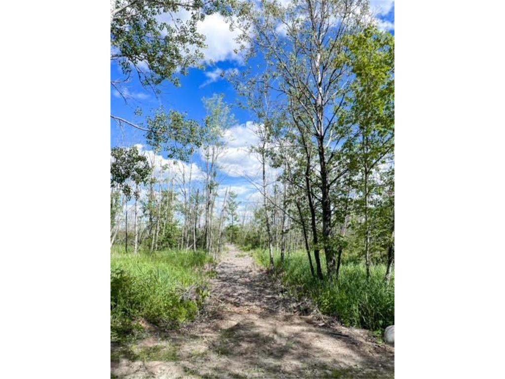 2595 300th Avenue, Pomroy Twp, MN, 55007 | MLS: 6536708 | Edina Realty