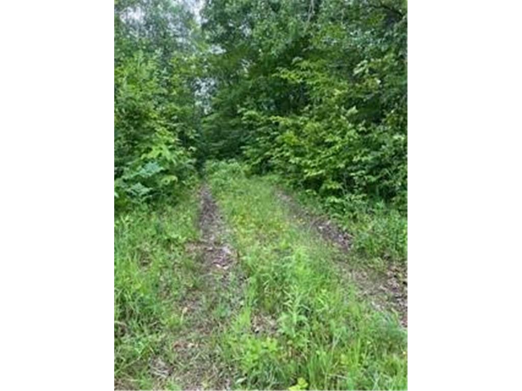 26259 County Road 26, Garrison, MN, 56450 | MLS: 6646165 | Edina Realty