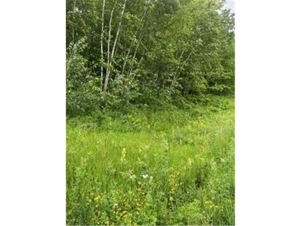 26259 County Road 26, Garrison, MN, 56450 | MLS: 6646165 | Edina Realty