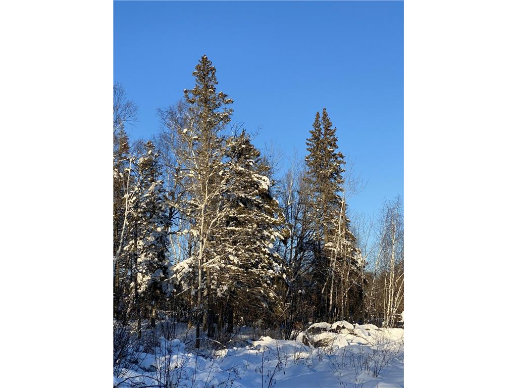 26744 Ross Lake Road, Aitkin, MN, 56431 | MLS: 7008753 | Edina Realty