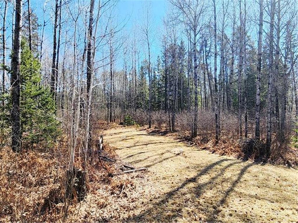 27256 Cr-52, Bigfork, MN, 56628 | MLS: 6512448 | Edina Realty