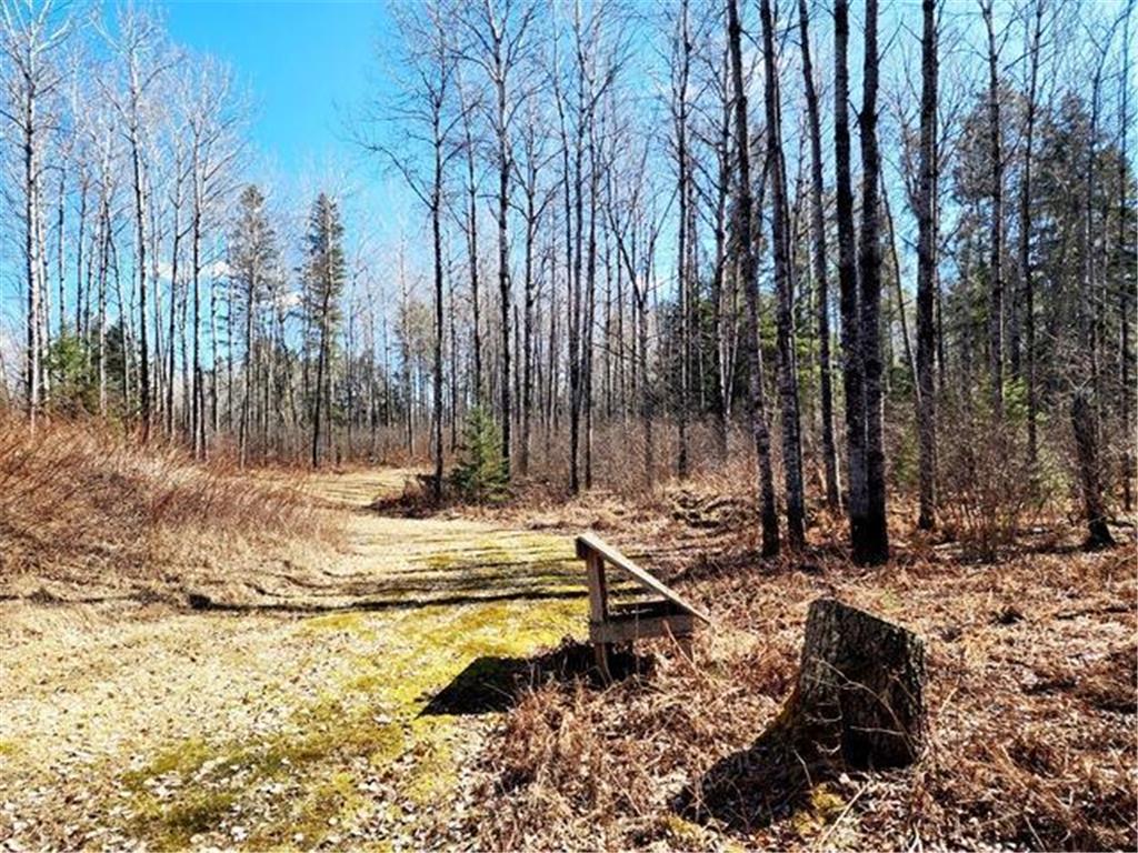 27256 Cr-52, Bigfork, MN, 56628 | MLS: 6512448 | Edina Realty