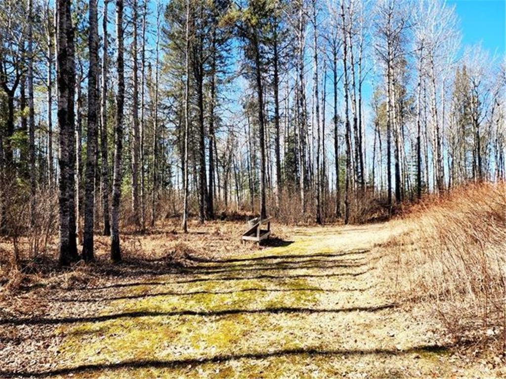 27256 Cr-52, Bigfork, MN, 56628 | MLS: 6512448 | Edina Realty