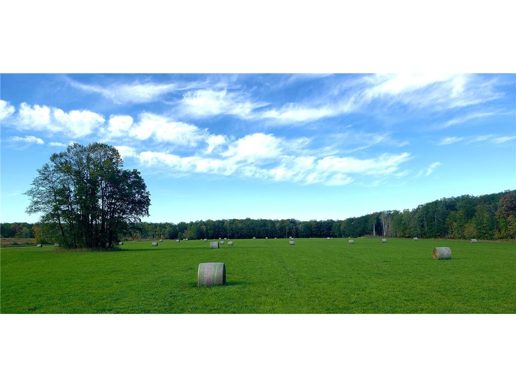 2820 320th Avenue, Brook Park, MN, 55007 | MLS: 6455041 | Edina Realty