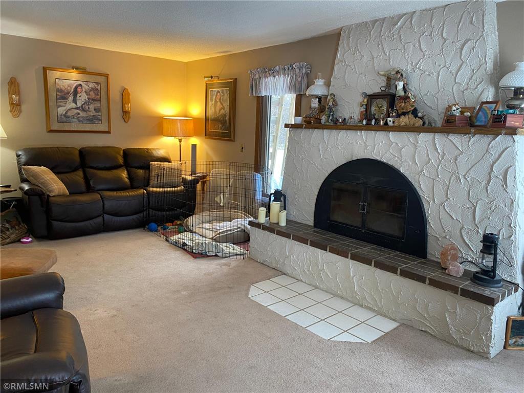 29358 Minnesota Highway 22, Litchfield, MN, 55355 | MLS: 6648041 ...