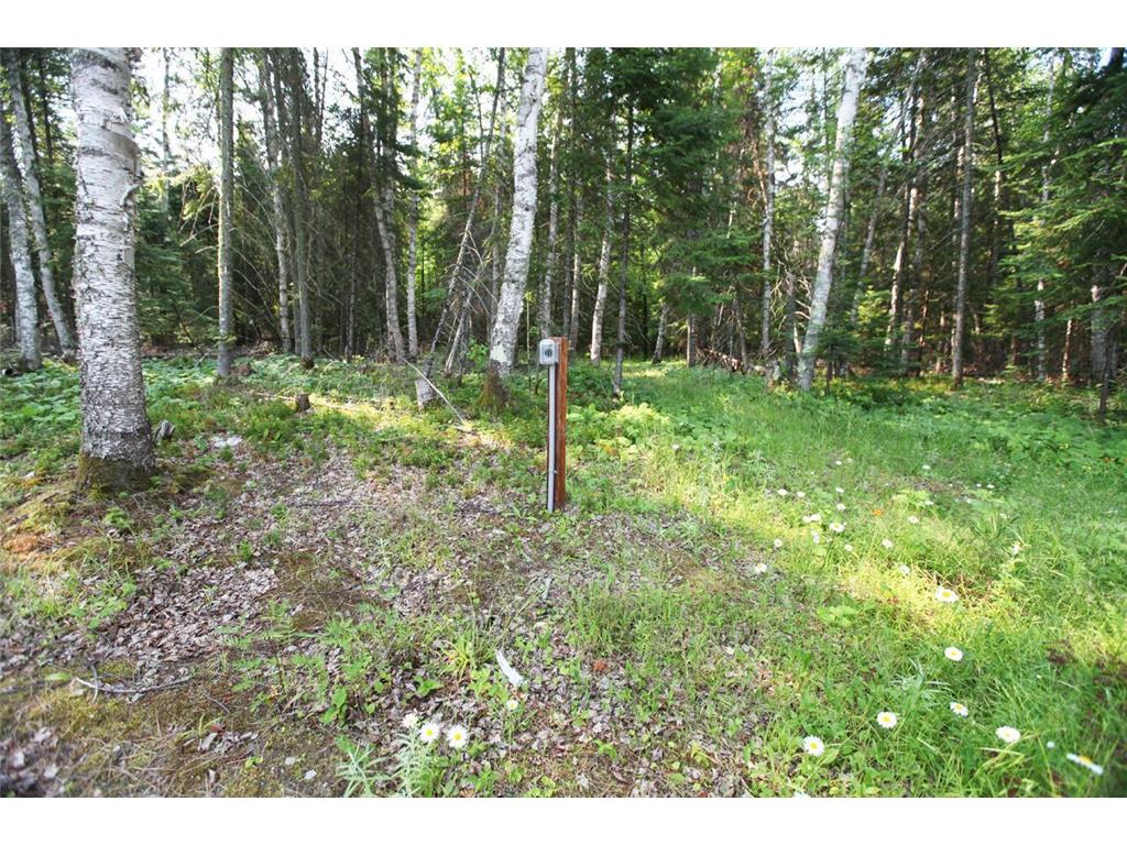 3109 Old Hwy 77, Tower, MN, 55790 | MLS: 6242611 | Edina Realty