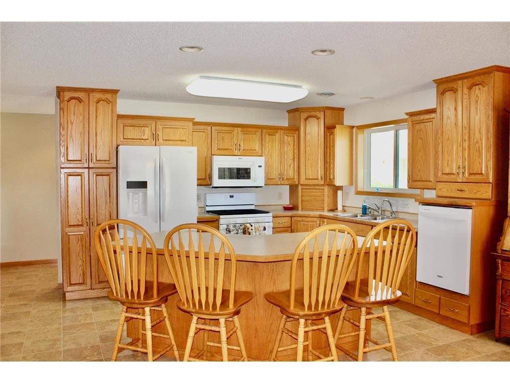 315 5th Circle SW, Blooming Prairie, MN, 55917 | MLS: 6762567 | Edina Realty