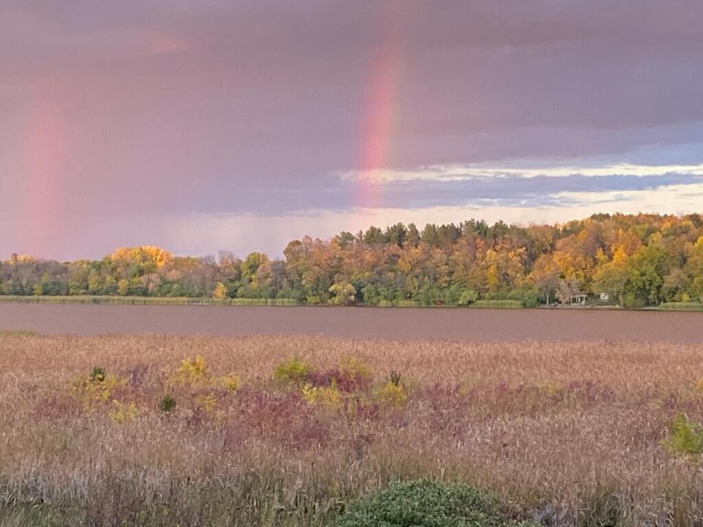 315 William Lake Shore Drive, Waconia, MN, 55387 | MLS: 6559109 | Edina ...