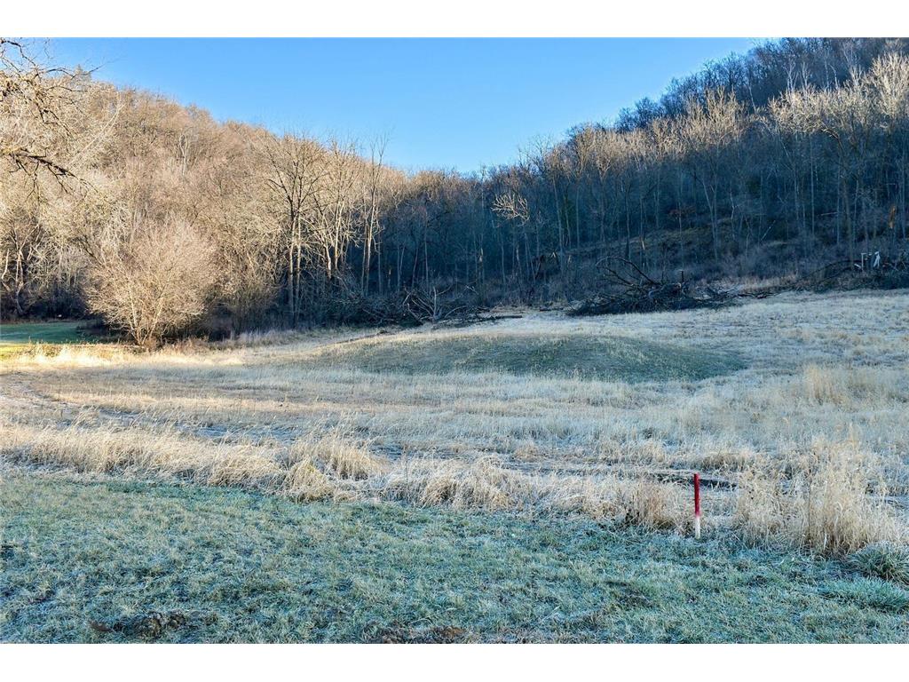 31790 County Road 17, Wiscoy Twp, MN, 55971 | MLS: 6638853 | Edina Realty