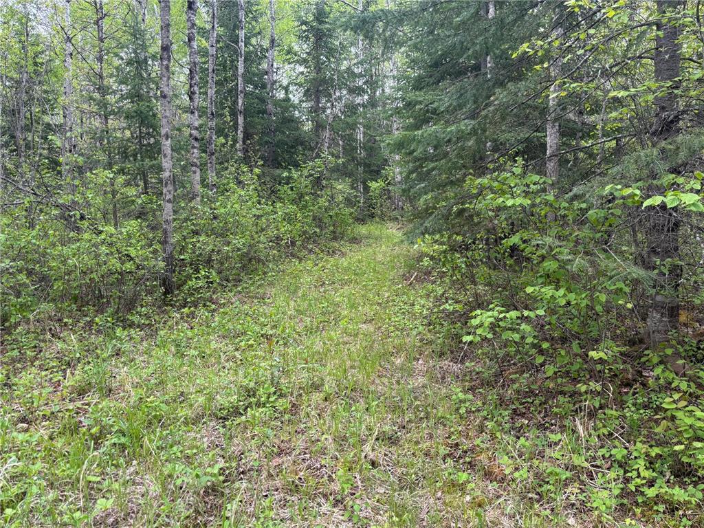 32241 State Highway 1, Effie, MN, 56639 | MLS: 6726770 | Edina Realty