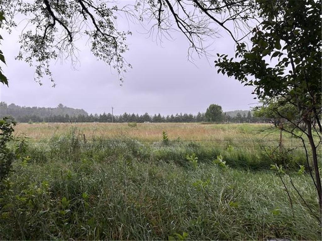 32752 County 16, Turtle Creek Twp, MN, 56443 | MLS: 6757809 | Edina Realty