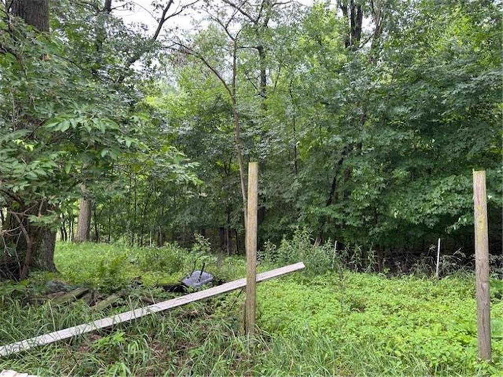 32752 County 16, Turtle Creek Twp, MN, 56443 | MLS: 6757809 | Edina Realty