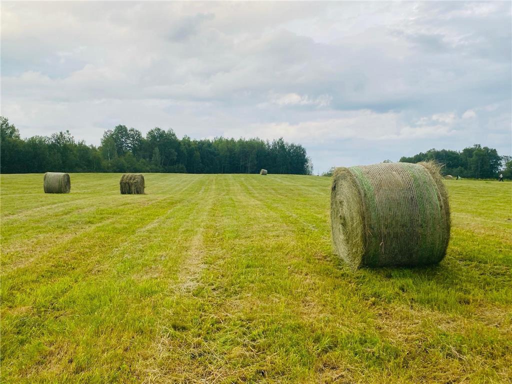 34176 Kestrel Avenue, Salo Twp, MN, 55760 | MLS: 6498751 | Edina Realty