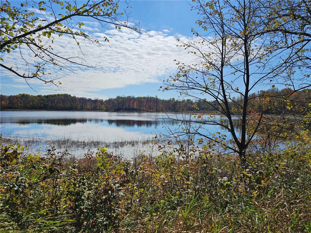 350XX 220th Avenue, Erhard, MN, 56534 | MLS: 6344174 | Edina Realty
