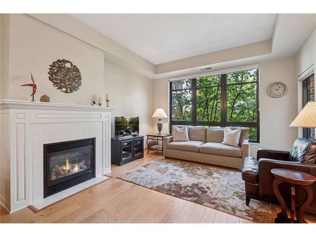 3709 Grand Way #227, Saint Louis Park, MN, 55416 | MLS: 6707906 | Edina ...