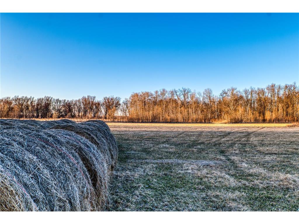 37325 US Highway 169, Spencer Twp, MN, 56431 | MLS: 6702739 | Edina Realty