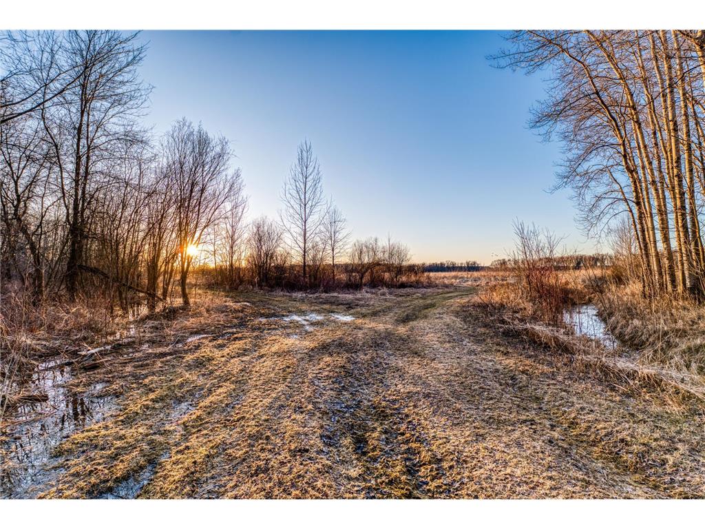 37325 US Highway 169, Spencer Twp, MN, 56431 | MLS: 6702739 | Edina Realty