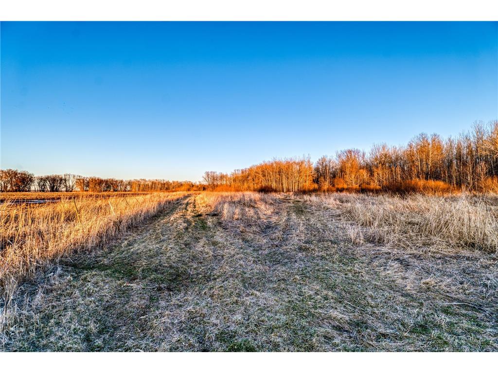 37325 US Highway 169, Spencer Twp, MN, 56431 | MLS: 6702739 | Edina Realty