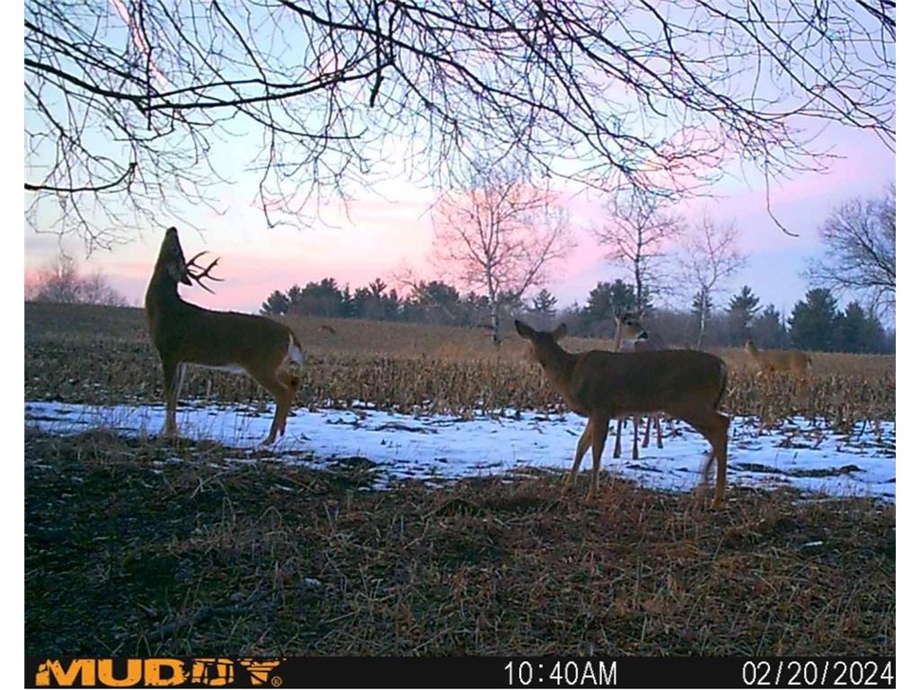 37989 Verdin Street NW, Maple Ridge Twp, MN, 55080 | MLS: 6555057 ...