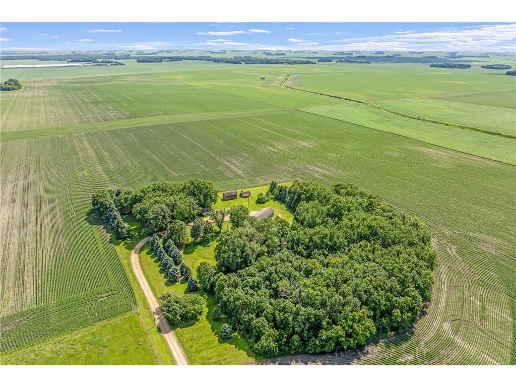 39205 436th Street, Saint Peter, MN, 56082 | MLS: 6751678 | Edina Realty