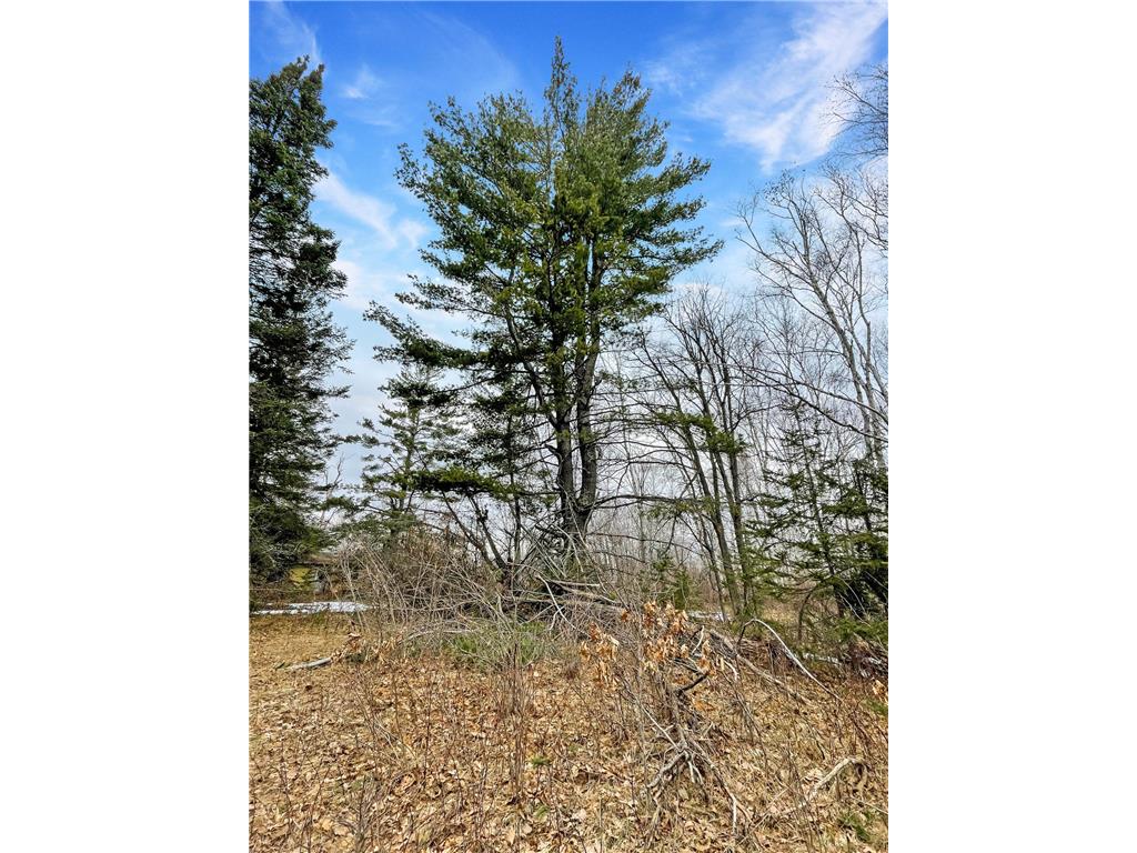 39229 W Arrowhead Drive, Pine River, MN, 56474 | MLS: 6361534 | Edina ...