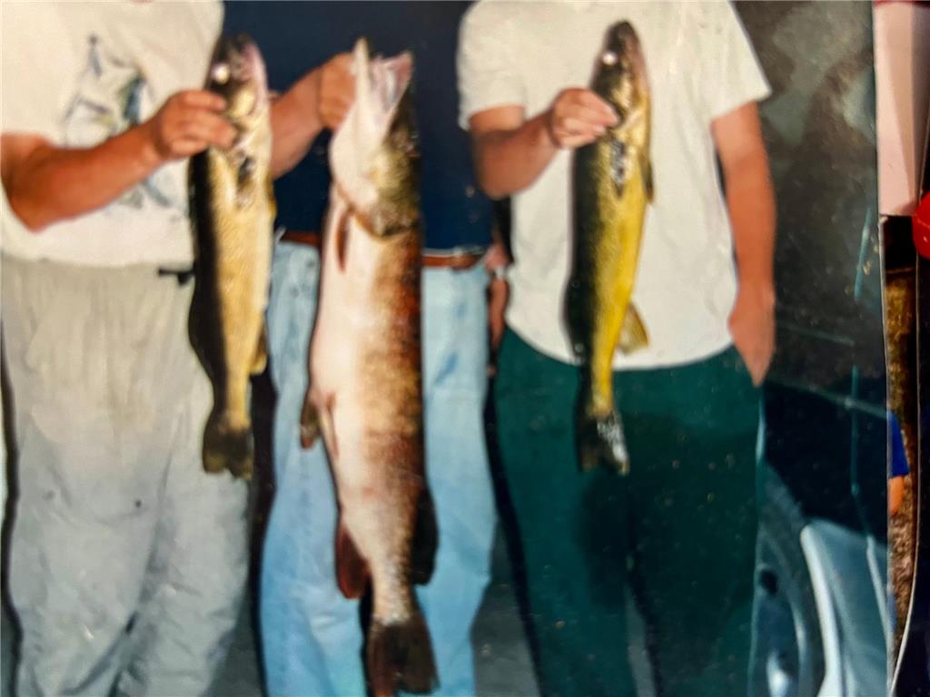 44568 Bittners Point Road, Balsam Twp, MN, 55709 | MLS: 6503031 | Edina ...