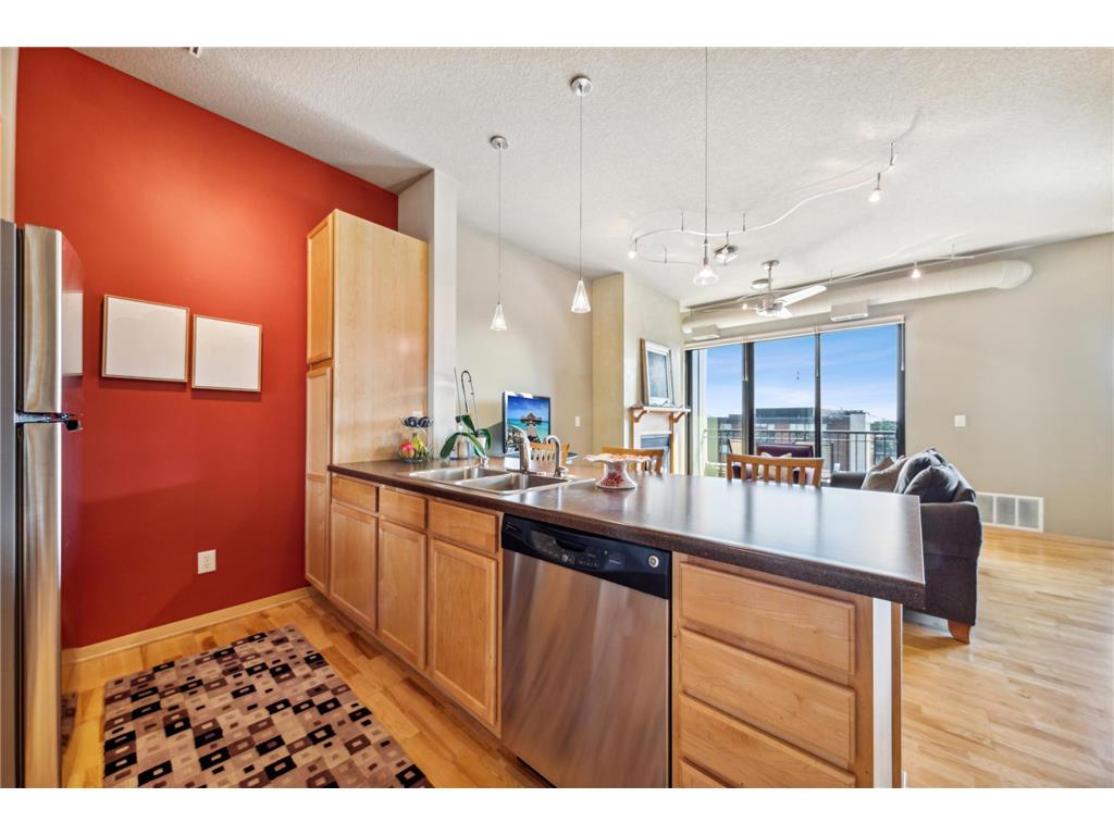 4525 Park Commons Drive #505, Saint Louis Park, MN, 55416 | MLS ...