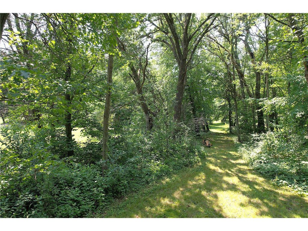 4748 Athens Trail, Lent Twp, MN, 55056 | MLS: 6758622 | Edina Realty