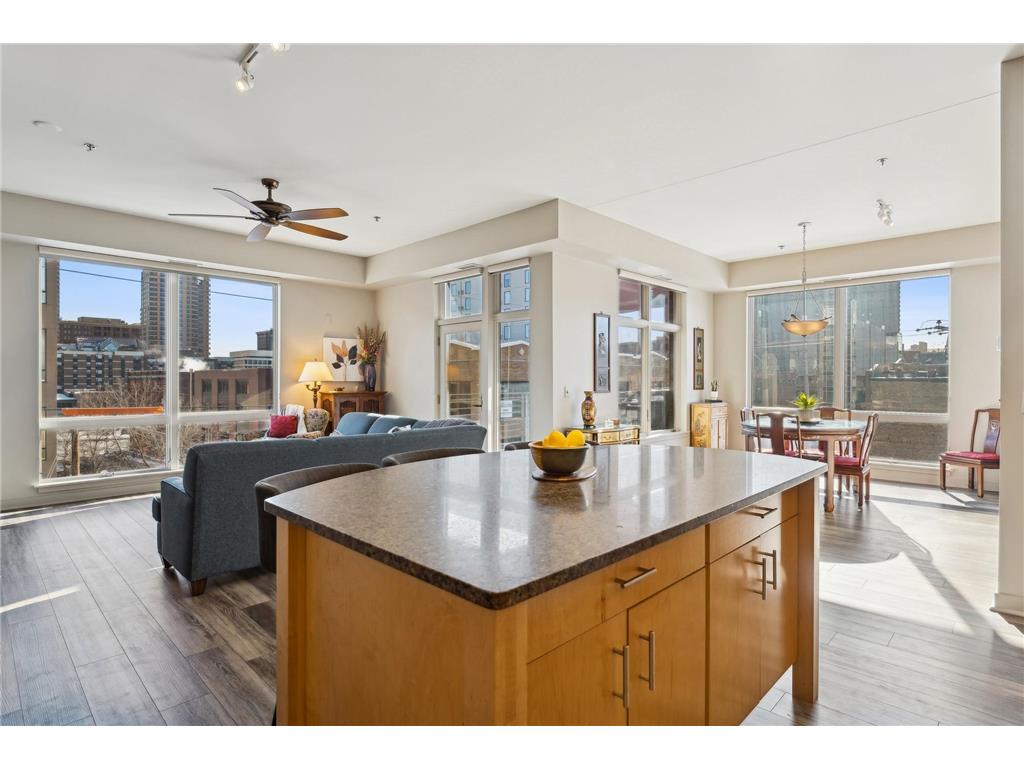 490 Temperance Street #301, Saint Paul, MN, 55101 | MLS: 6653876 ...