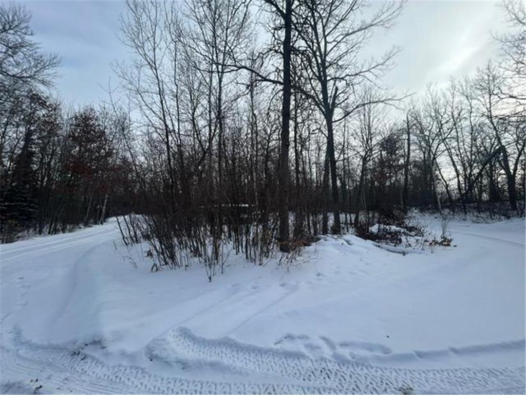 49128 Sandy Oak Drive, Deer River, MN, 56636 | MLS: 7013135 | Edina Realty