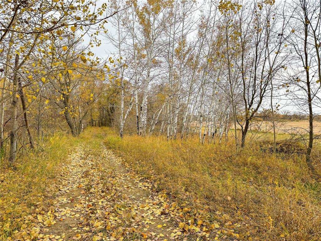 49XXX Leaf River Road, Ottertail, MN, 56571 | MLS: 6619495 | Edina Realty