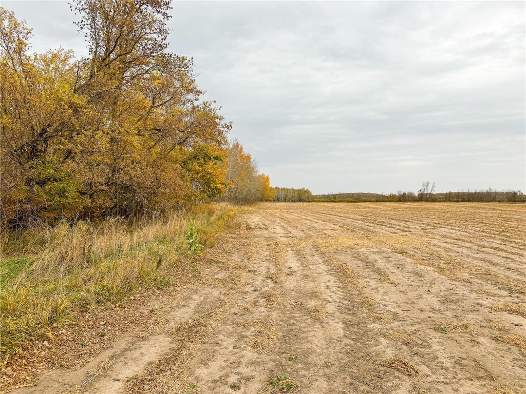 49XXX Leaf River Road, Ottertail, MN, 56571 | MLS: 6619495 | Edina Realty