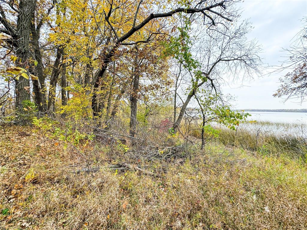 49XXX Leaf River Road, Ottertail, MN, 56571 | MLS: 6619495 | Edina Realty