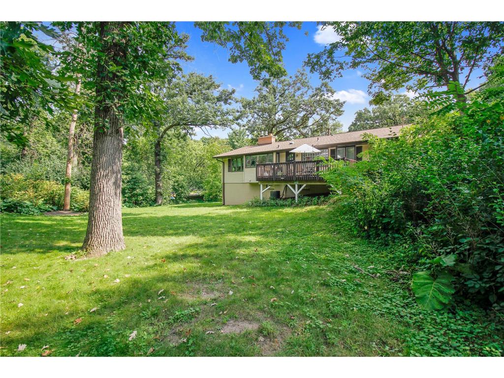 5223 Rogers Drive, Hopkins, MN, 55343 | MLS: 6619316 | Edina Realty