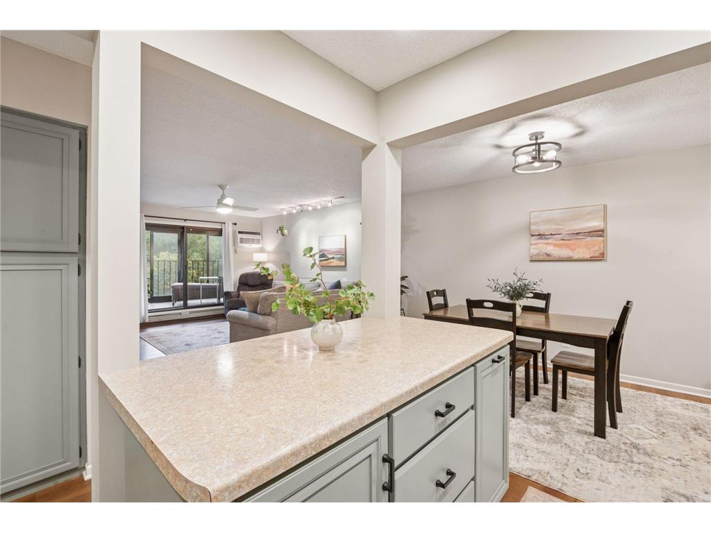 5643 Green Circle Drive #312, Minnetonka, MN, 55343 | MLS: 6789496 ...