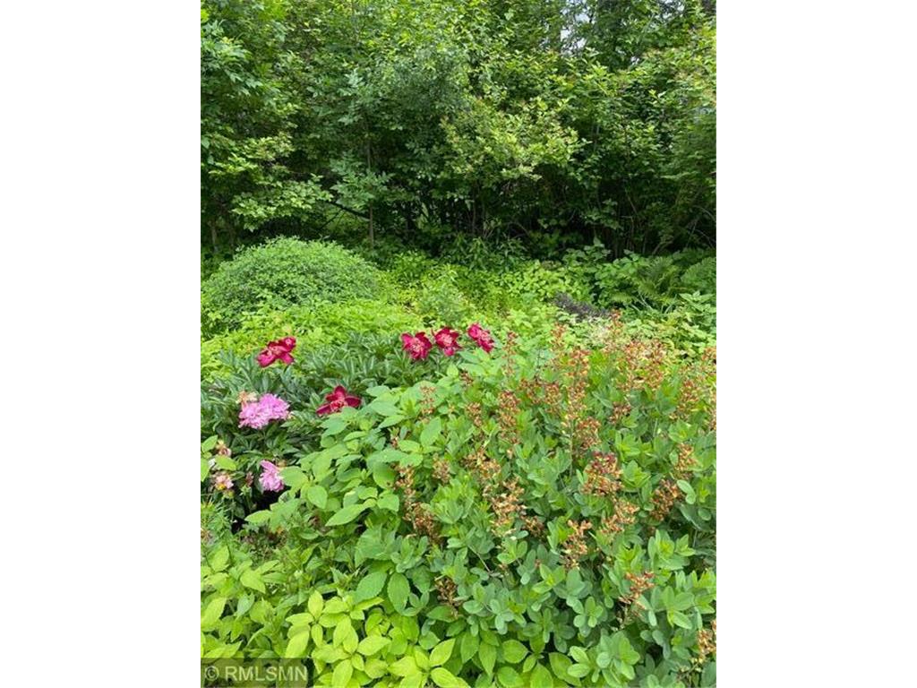 5789 Cherry Lane, Cannon Falls, MN, 55009 | MLS: 6756770 | Edina Realty