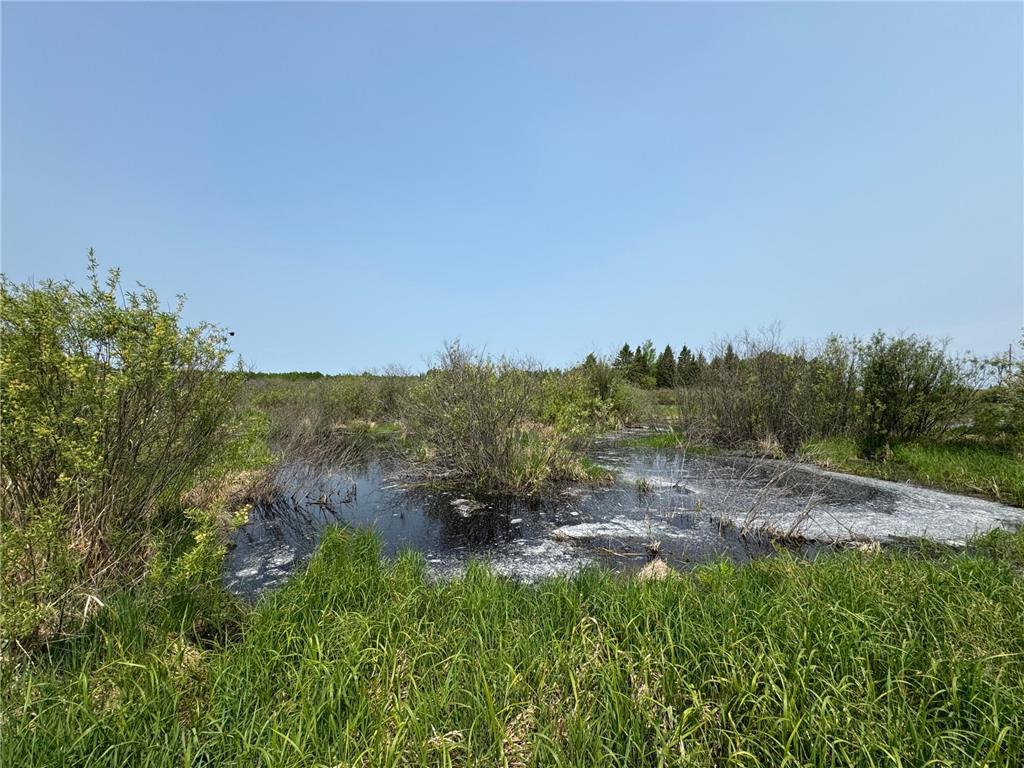 61075 County Road 236, Bigfork Twp, MN, 56628 | MLS: 6730283 | Edina Realty