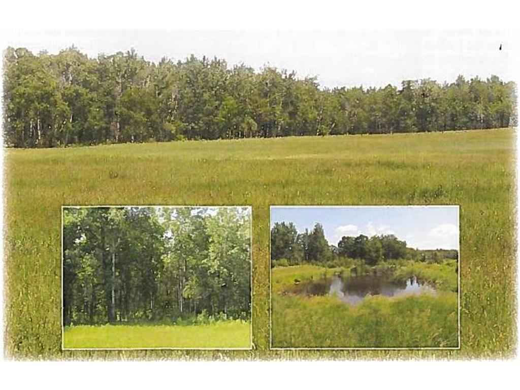 644X 88th Street SW, Motley, MN, 56466 | MLS: 6404173 | Edina Realty