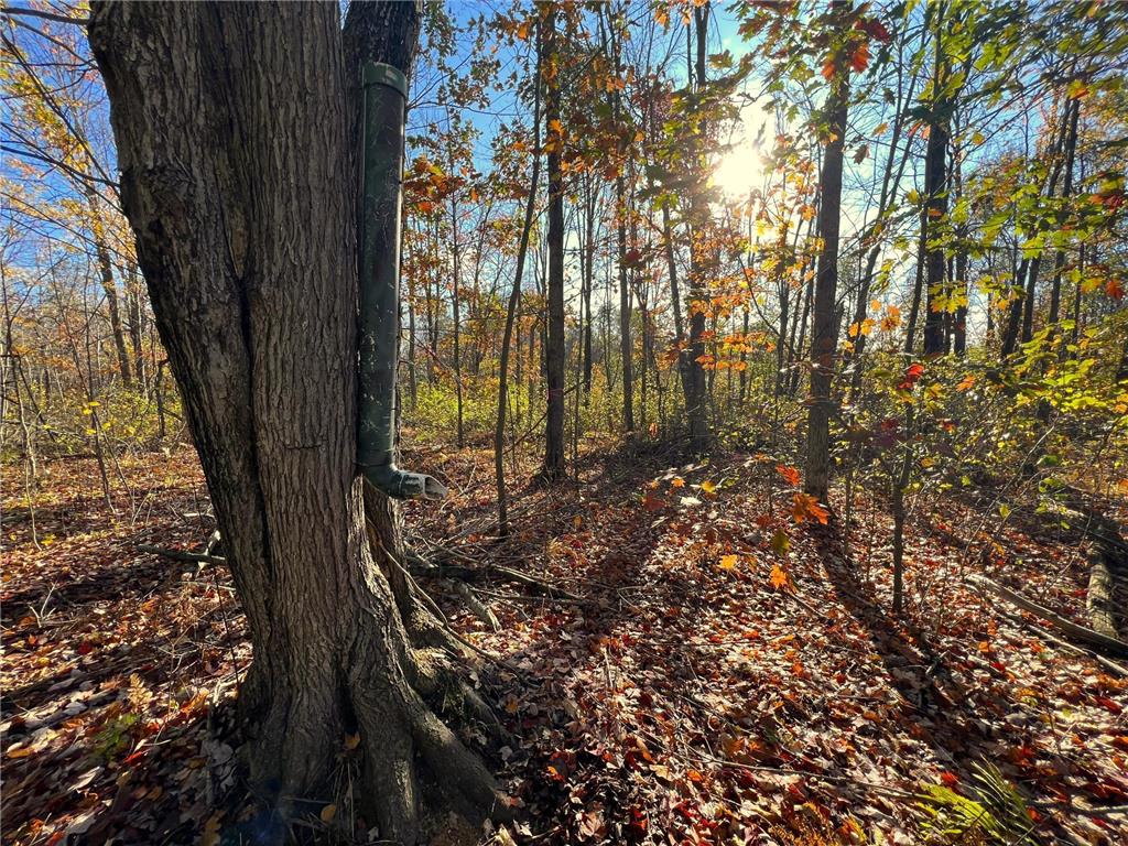 65895 Wolf Creek Road, Bruno, MN, 55712 | MLS: 6509223 | Edina Realty