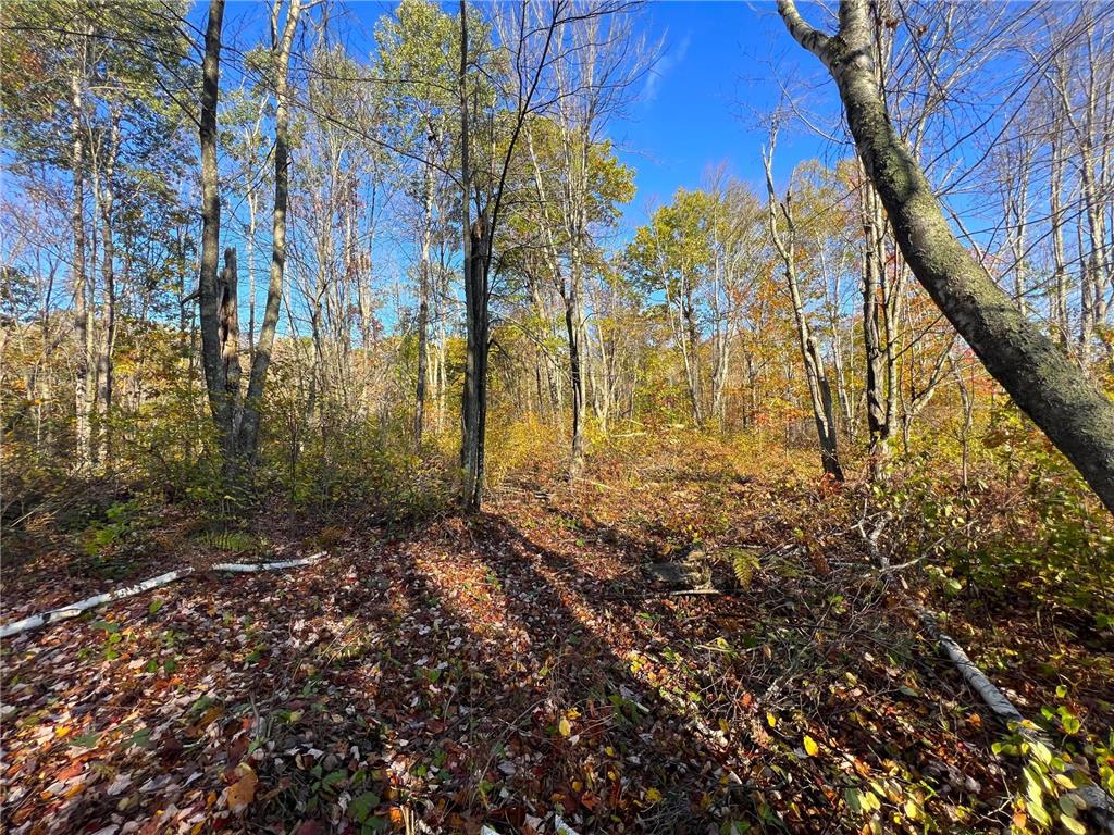 65895 Wolf Creek Road, Bruno, MN, 55712 | MLS: 6509223 | Edina Realty