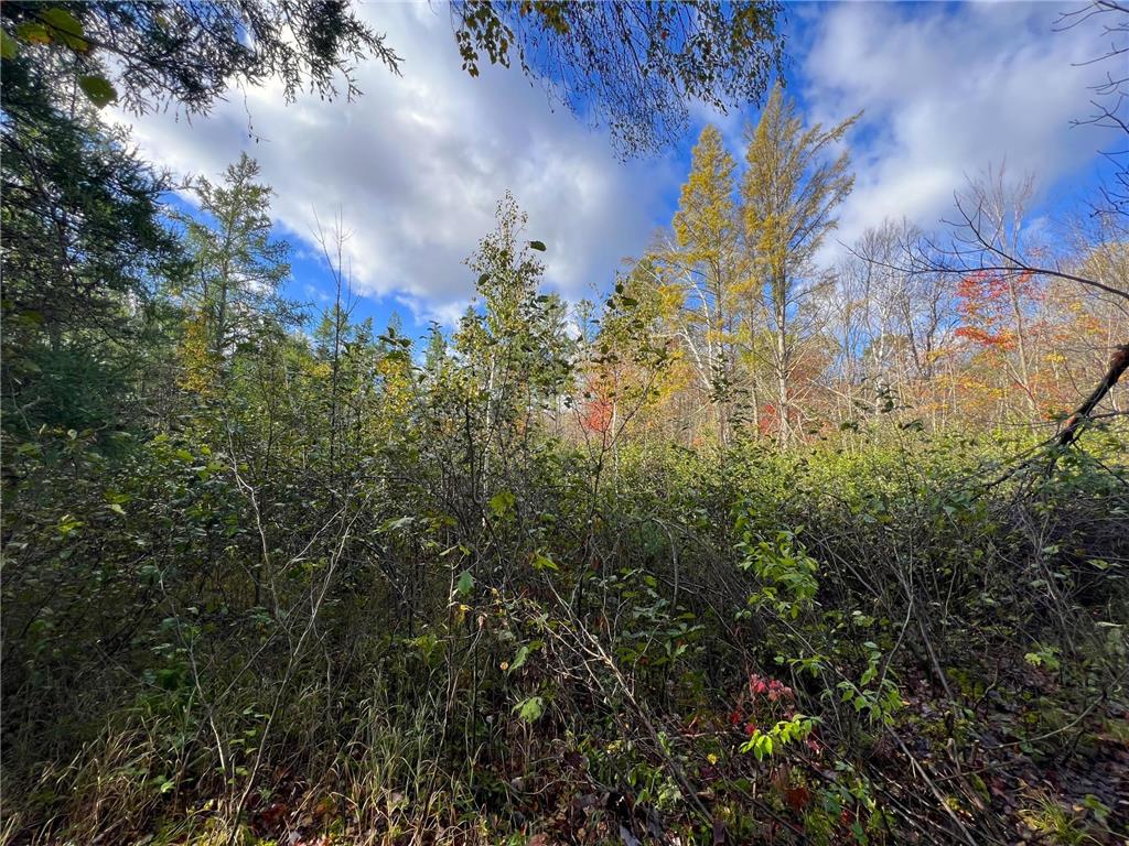 65895 Wolf Creek Road, Bruno, MN, 55712 | MLS: 6509223 | Edina Realty