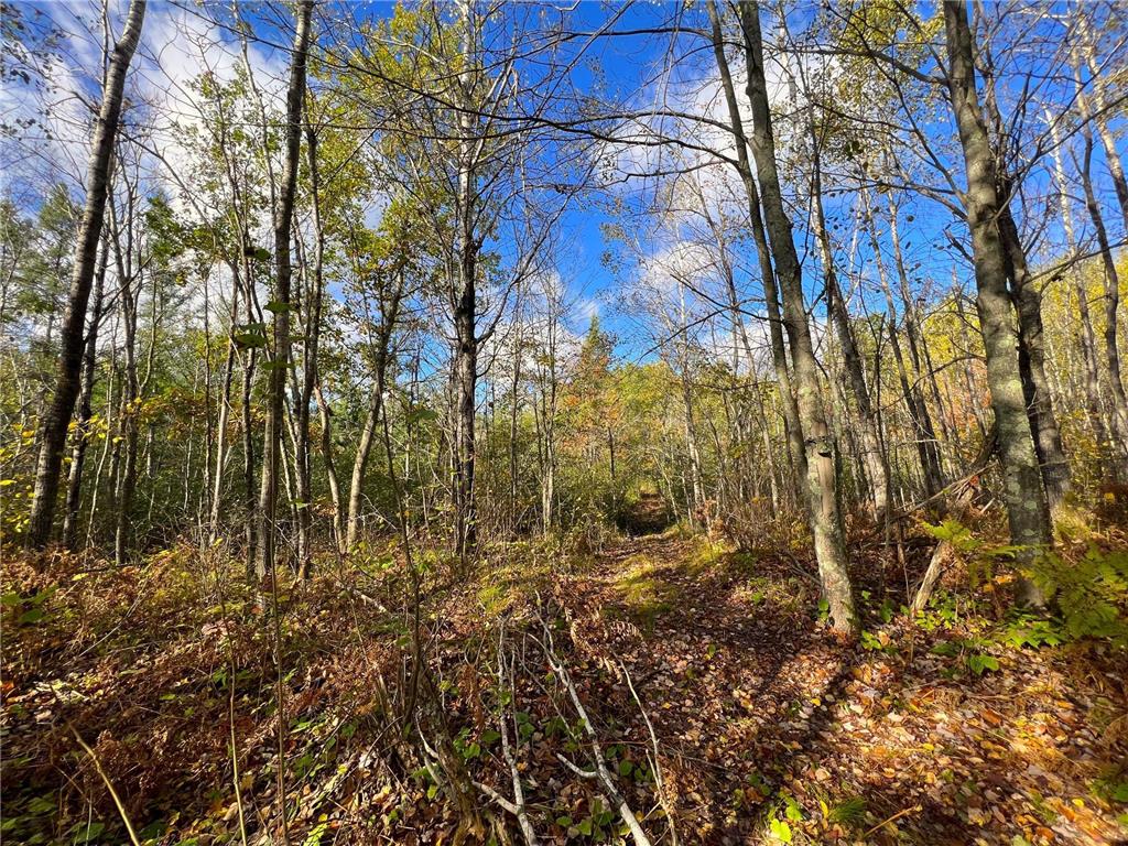 65895 Wolf Creek Road, Bruno, MN, 55712 | MLS: 6509223 | Edina Realty