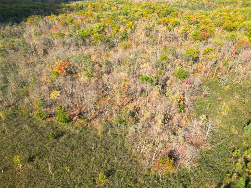 65895 Wolf Creek Road, Bruno, MN, 55712 | MLS: 6509223 | Edina Realty