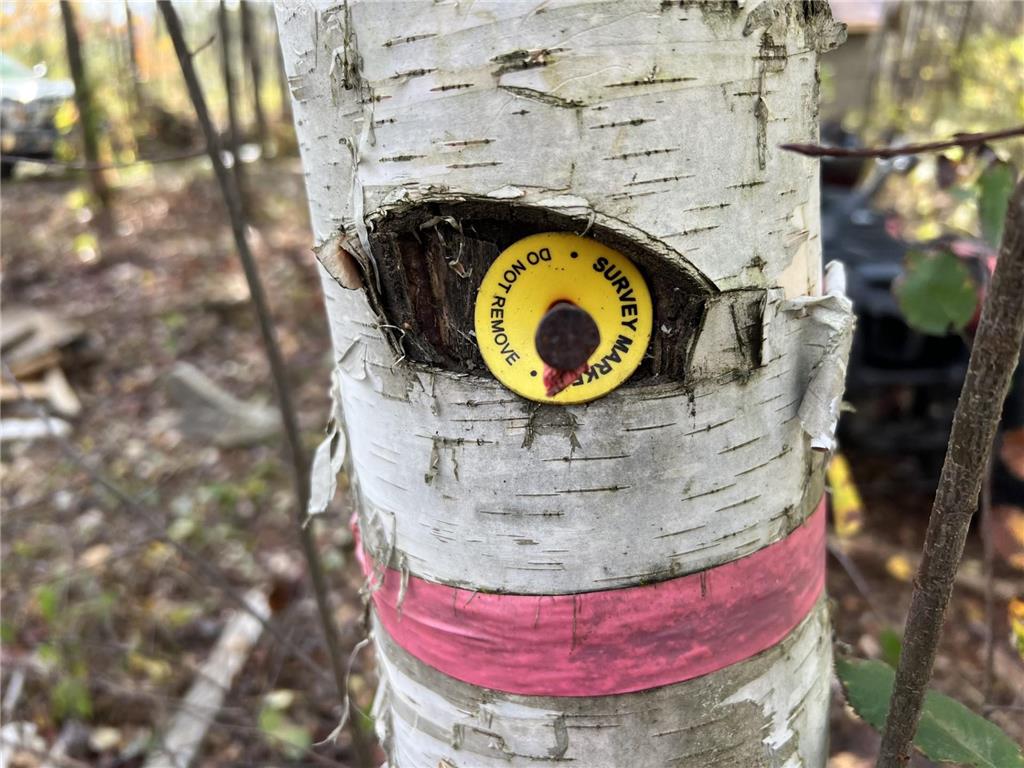 65895 Wolf Creek Road, Bruno, MN, 55712 | MLS: 6509223 | Edina Realty