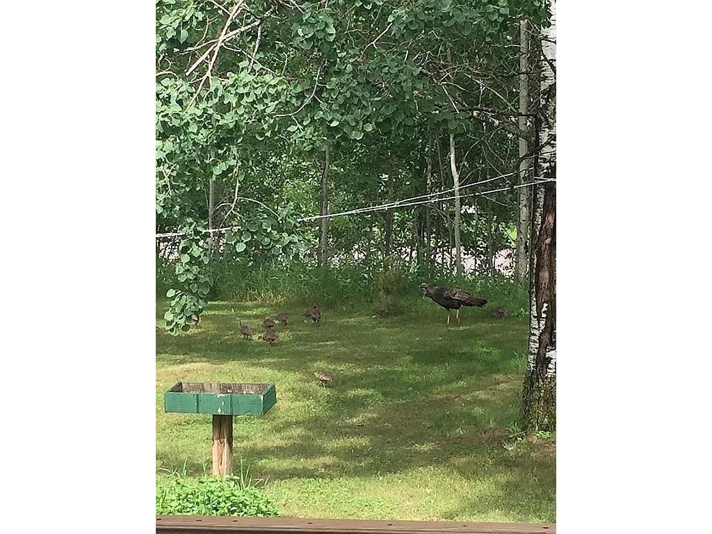 66605 Norway Spruce Road, Pine Lake Twp, MN, 55735 | MLS: 6660072 ...